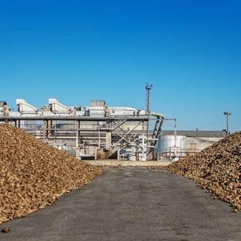 American Crystal Sugar Beet Processing Plants | HDR
