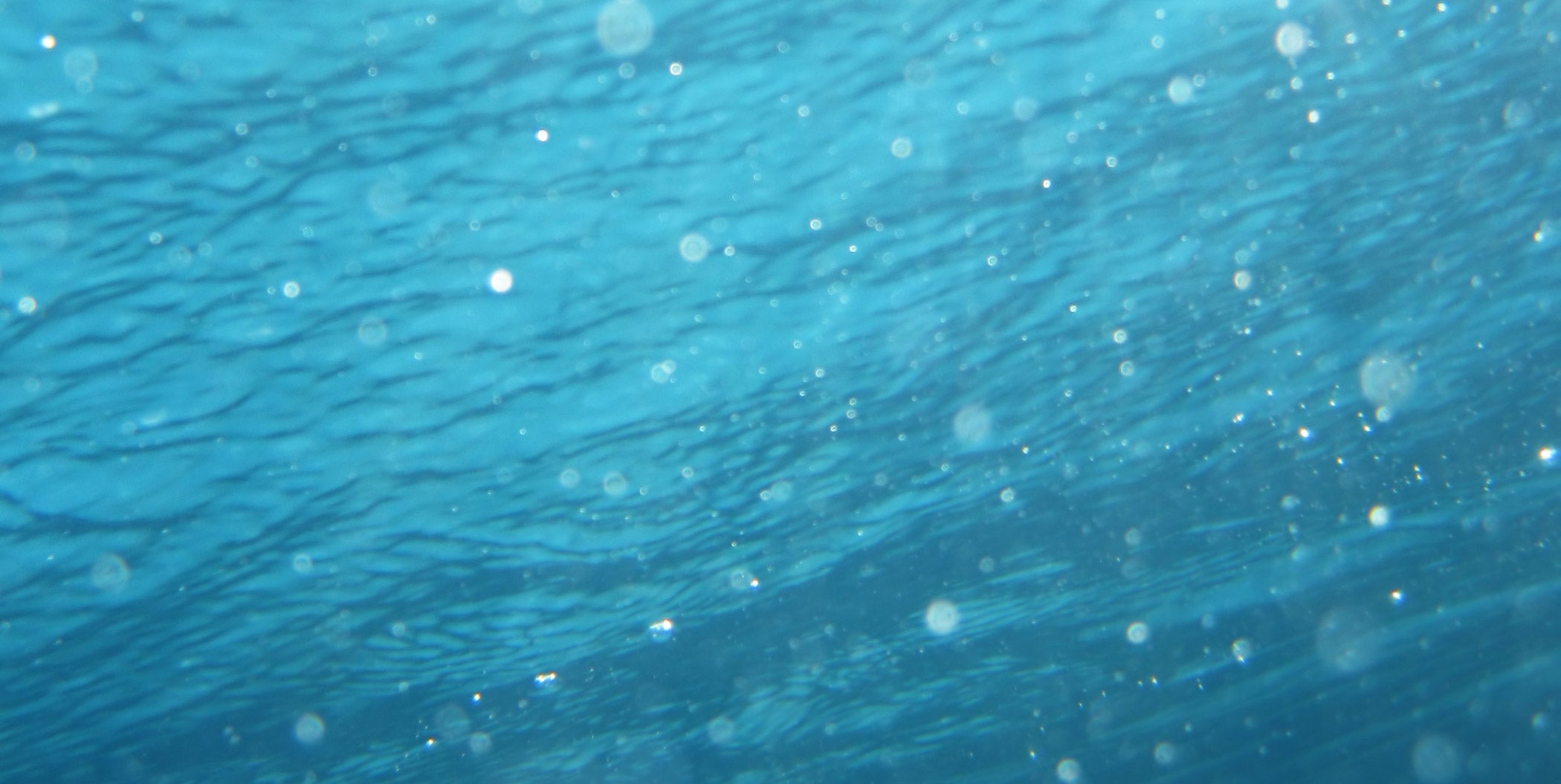 Power Grid Flexibility Means Thinking Like An Entrepreneur | HDR