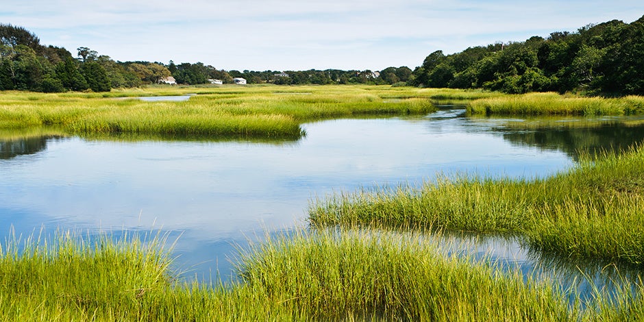 6 Things to Know About Regenerative Design | HDR