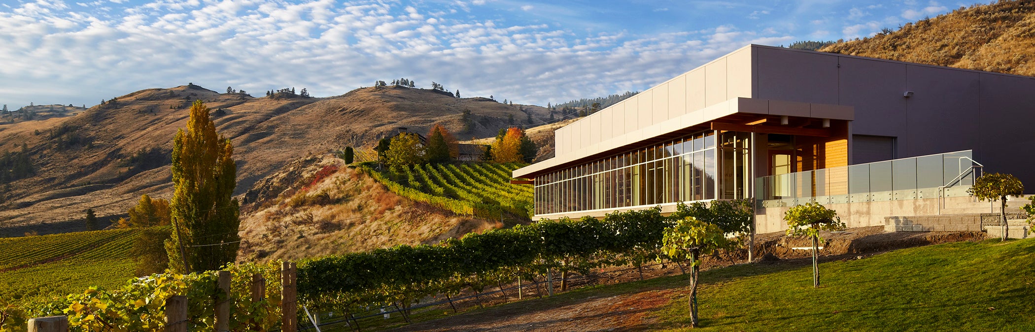 Road 13 Vineyards | HDR