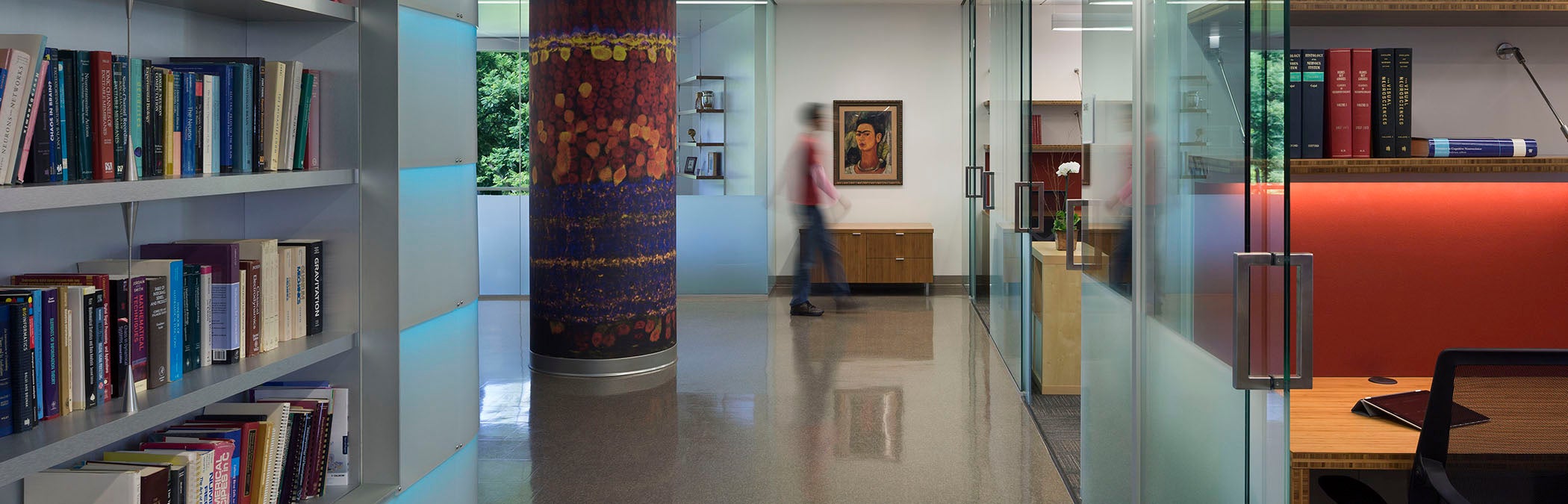 Caltech Markus Meister Laboratory Renovation | HDR