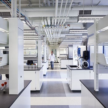 Princeton University Hoyt Lab Renovation | HDR