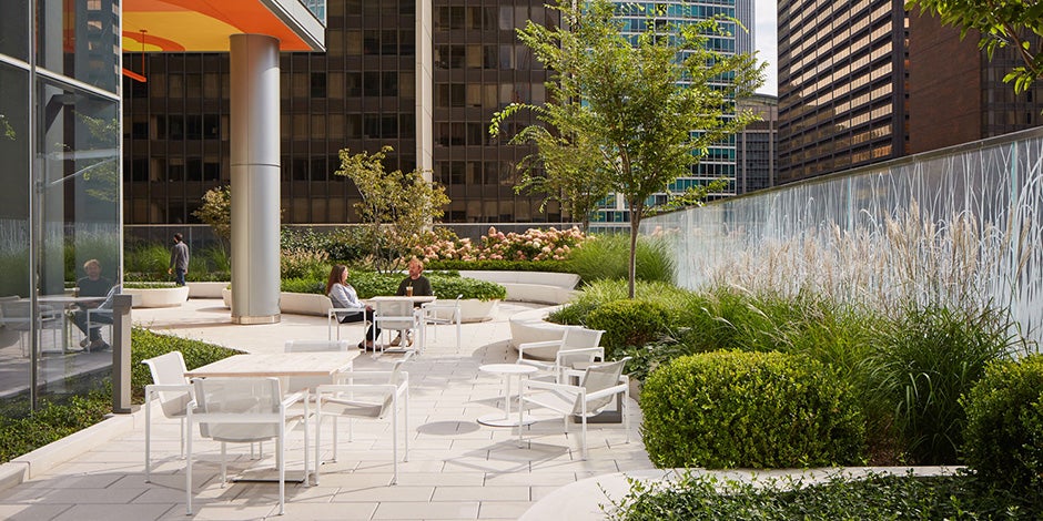 Landscapes in Translational Health Environments: Two Case Studies | HDR