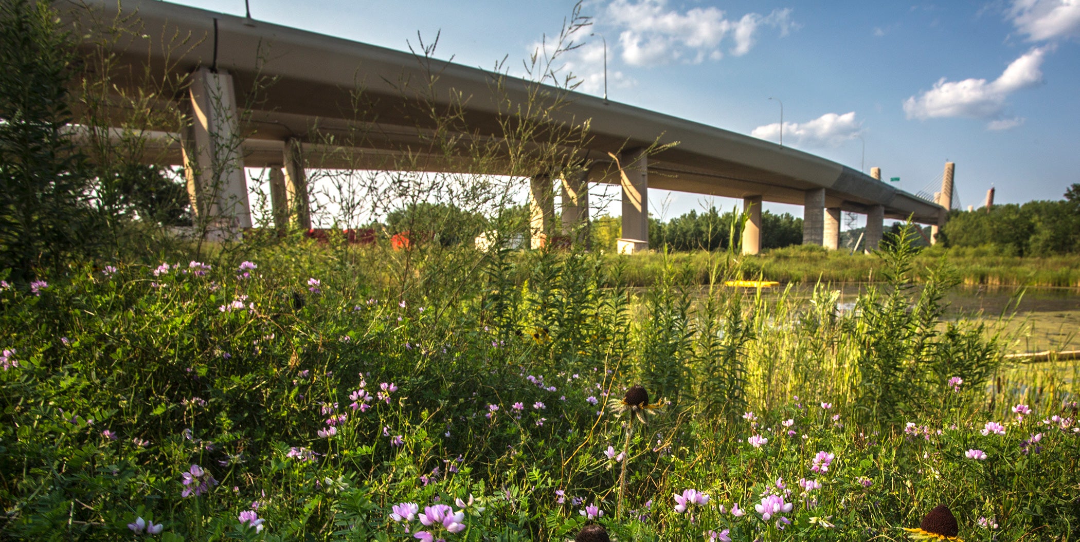 Experts Talk: Sustainable Bridge Design with Rob Richardson and Don ...