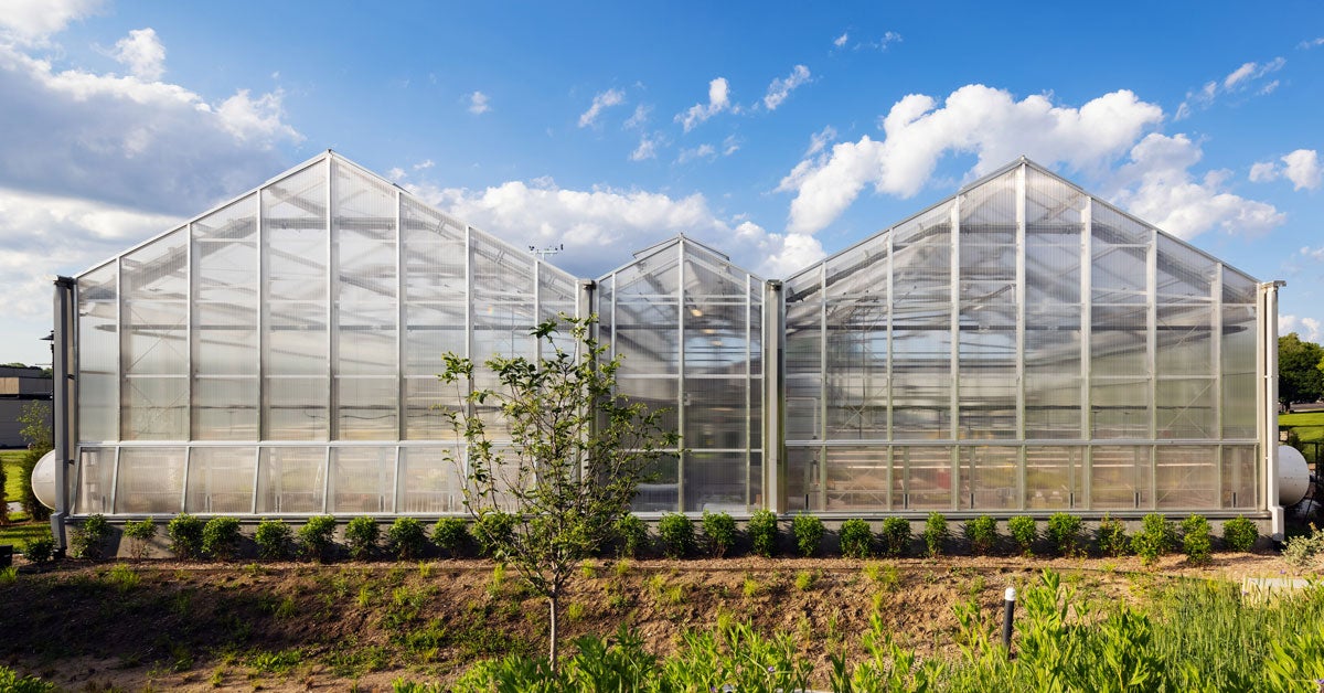 5 Things to Get Right in Research Greenhouse Design | HDR