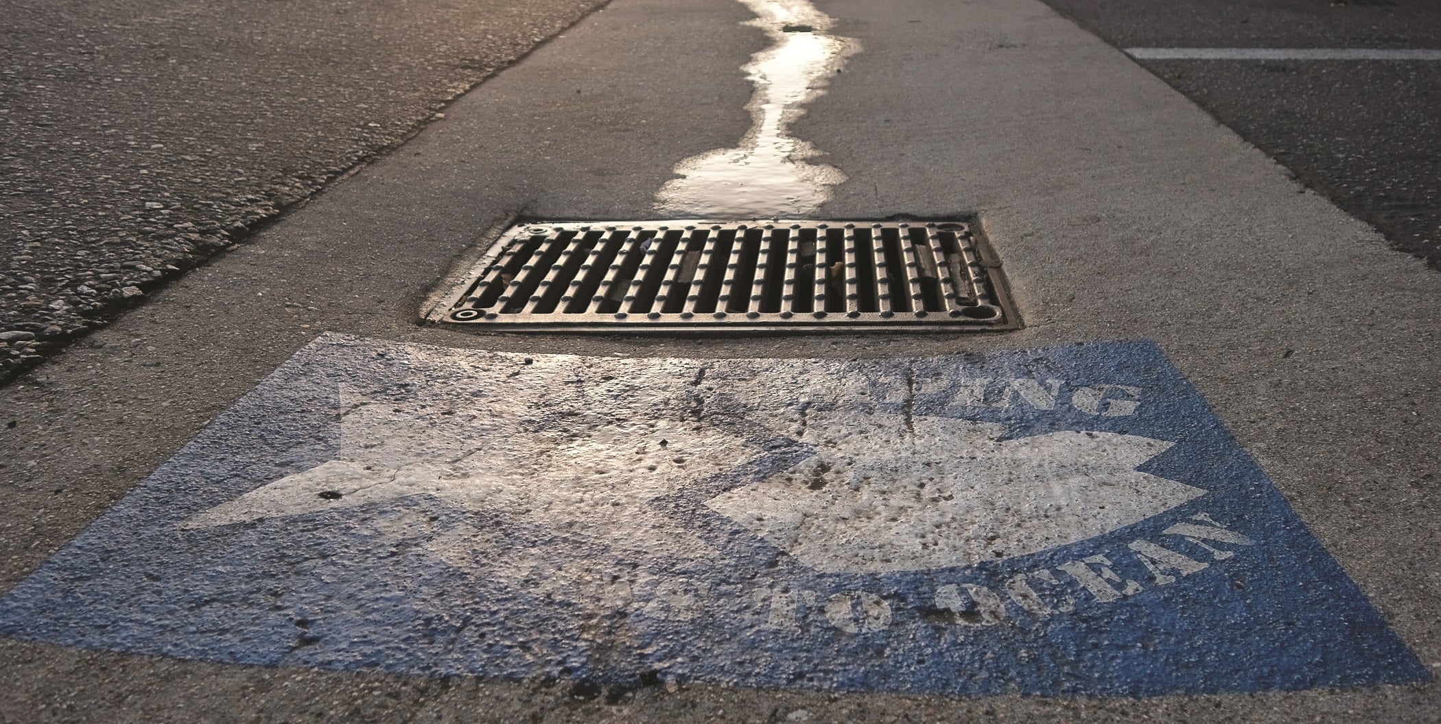 Urban Stormwater Control Measures for Nutrients Management | HDR