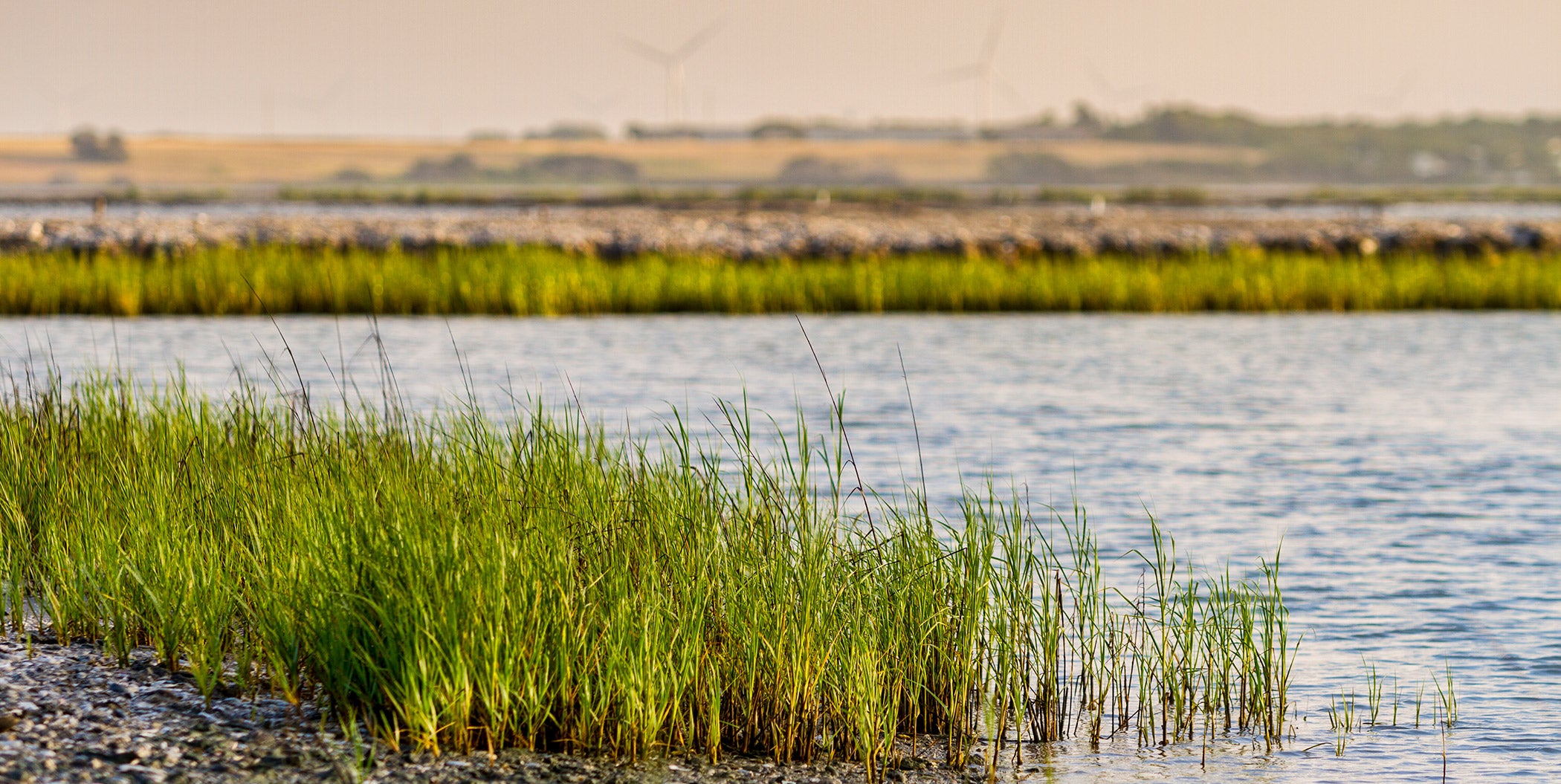 Exploring Sediment Placement for Coastal Marsh Restoration and ... Exploring Sediment Placement for Coastal Marsh Restoration and ...