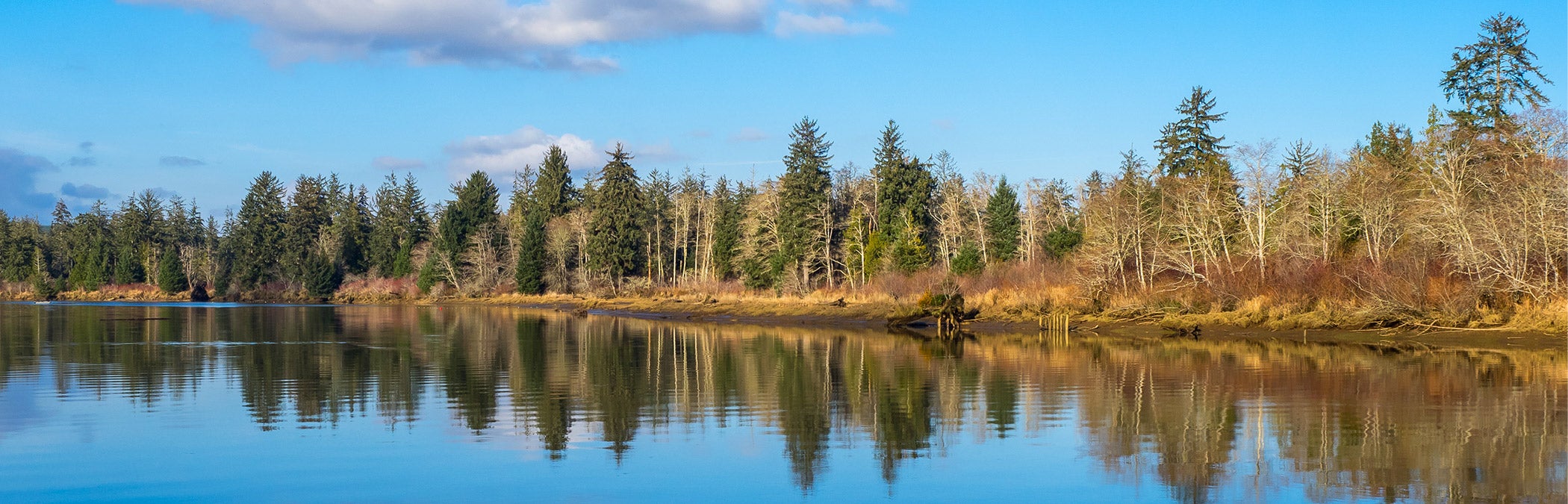 Chehalis River Basin Project | HDR