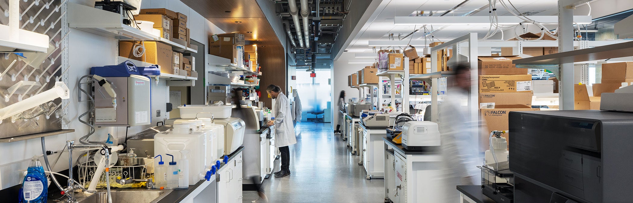 The History of the Lab | HDR