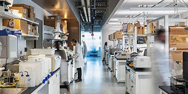 The History of the Lab | HDR