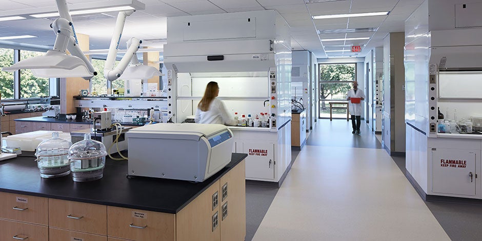 Food Testing Laboratories: Design Elements for Cleanliness, Precision ...