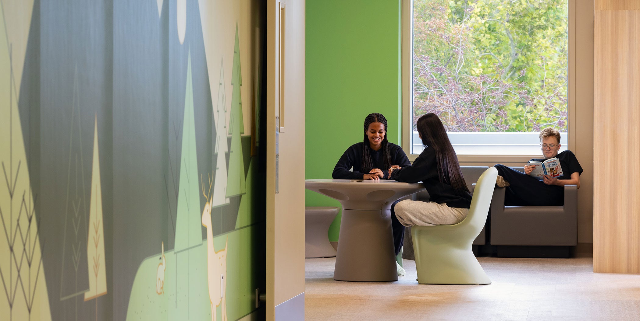 Rethinking Paediatric Behavioural Health Spaces: An Exploration of Two ...