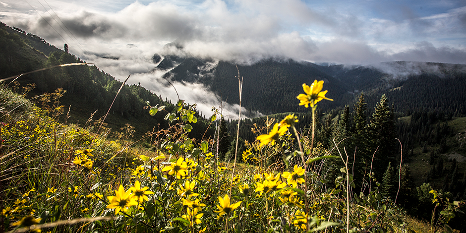 Strategies to Successfully Navigate the FAST-41 Application and Process ...